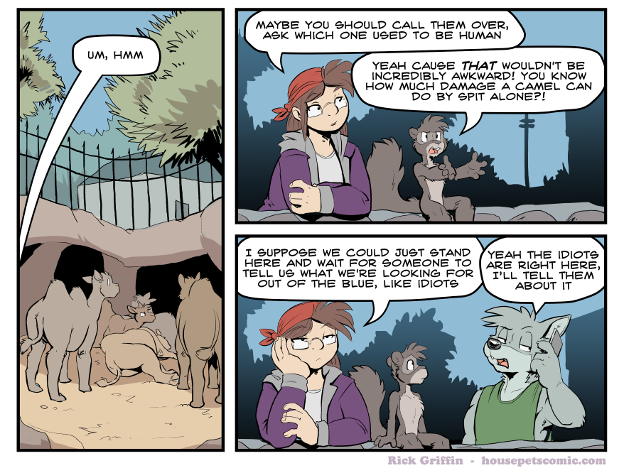 Contemplating Life Choices – Housepets!